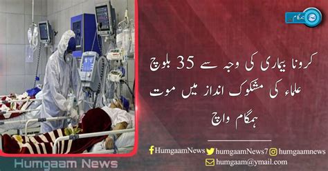 Humgaam News Online News