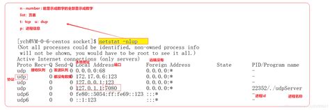 2 3：套接字（socket）编程之udp通信，sockaddr sockaddr in recvfrom sendto csdn博客