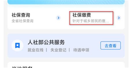 新农保怎么缴费 360新知