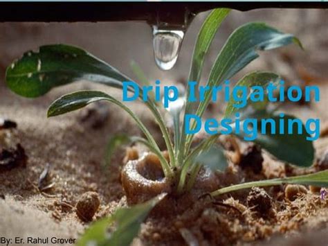 Ppt On Drip Irrigation Pptx