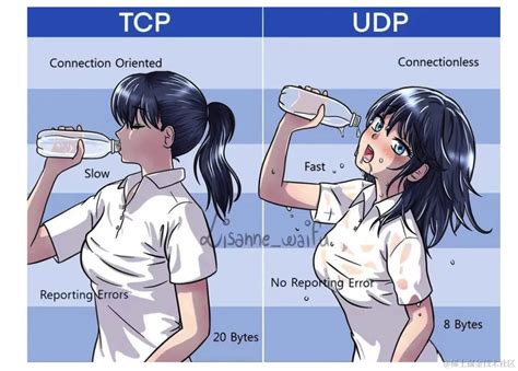 Tcp 与 Udp：深入解析两种网络协议的主要区别写了这么多篇关于 Tcp 和 Udp 的文章，还没有好好聊过这两个协议 掘金