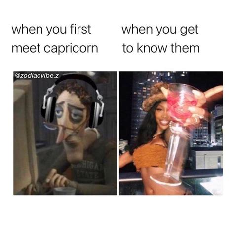 What The Zodiac Signs Like In Their Partner Zodiac Memes Artofit