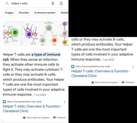 However Its Possible That Im Wrong If Im Wrong Helper T Cells