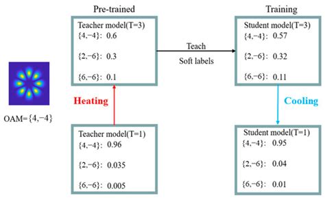 Deep Mutual Learning Based Mode Recognition Of Orbital Angular Momentum