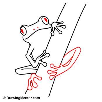 How To Draw A Frog Tutorial
