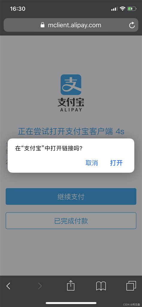 支付宝小程序 生成链接 生成alipays协议链接 支付宝支付链接生成 csdn博客