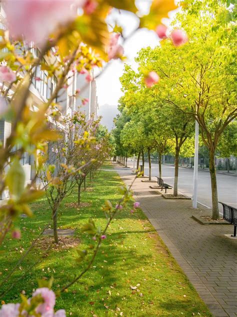 福州理工学院