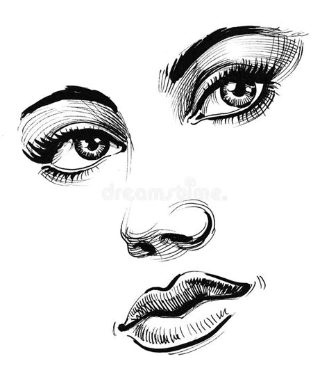 Beautiful Woman Face Stock Illustration Illustration Of Female 110590473