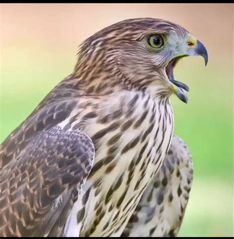 Arman Taala On Linkedin Solidworks 3dmodeling Flowsimulation Simulation Armantaala Designer…