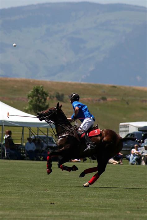 The Evolution From Player To Announcer Uspa Polo Networks Toby Wayman