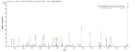 Complement C3 Human Recombinant Protein Li Expressed 6xhis Tag