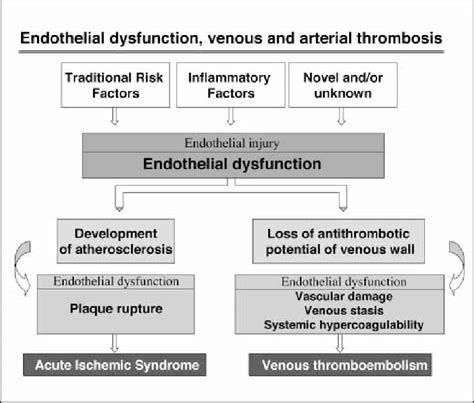 Common Pathogenic Role Of Endothelial Dysfunction In Venous And