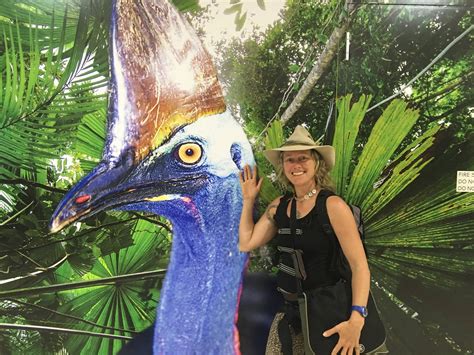 Answered Are Cassowaries Actually Living Dinosaurs And More