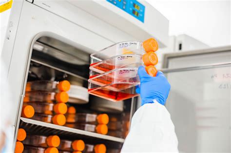 Understanding The Pricetag Mexico Stem Cell Injection Cost Beyond