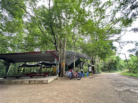 I Ch A L Nh Khu R Ng Green List U Ti N C A Vi T Nam