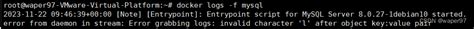docker启动容器失败，然后查看日志，docker logs查看容器出现报错： error from daemon in stream