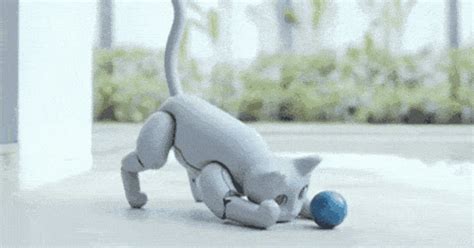 世界首款AI仿生机器猫还真的有点萌 Marscat