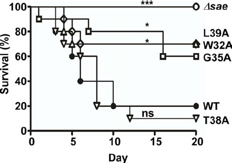 The Linker Peptide Mutants Exhibiting Lower Kinase Activity Show
