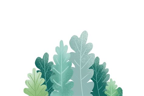 녹색 식물 식물 녹색 식물 재료 식물 사진 Png 일러스트 및 이미지 에 대한 무료 다운로드 Pngtree