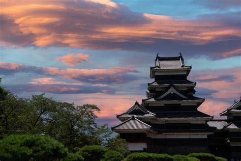 What Is The Meaning Of Shachihoko Of Japanese Castle What For Hiro8