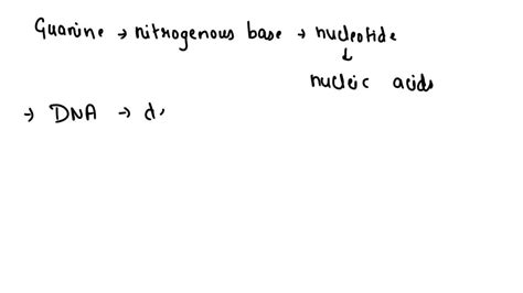 Solved Guanine Is Used As A Building Block For What Macromolecule