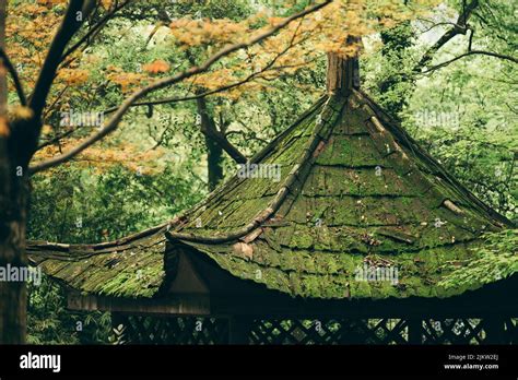 Green Roof Pavilion Hi Res Stock Photography And Images Alamy
