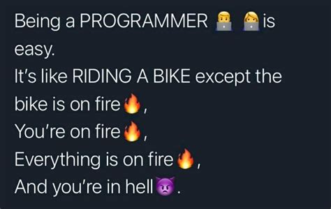 being programmer r programmerhumor