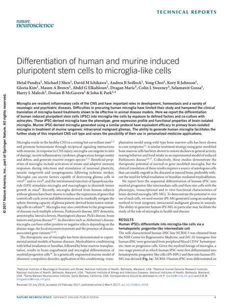 Pdf Differentiation Of Human And Murine Induced Pluripotent Stem