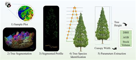 Sample Plots Forestry Parameters Verification And Updating Using