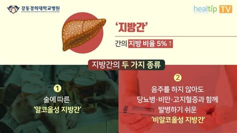 술 안 마시는데 ‘비알코올성 지방간 원인 And 관리 네이버 블로그