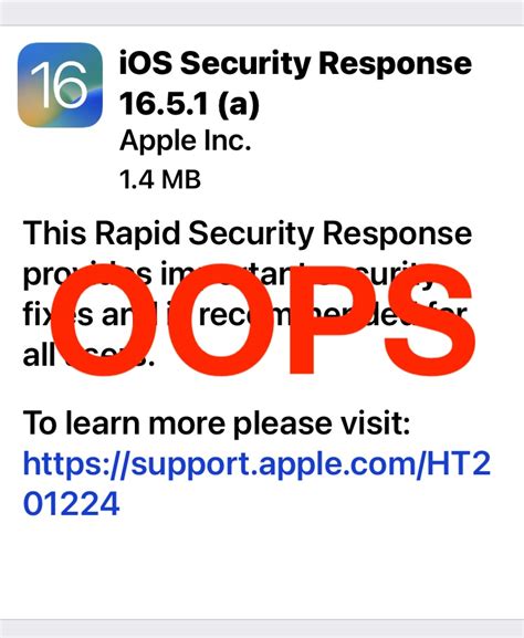 Apple Pulls Rapid Response Updates For Ios 1651 Ipados 1651 Macos
