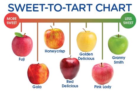 Types Of Apples Chart