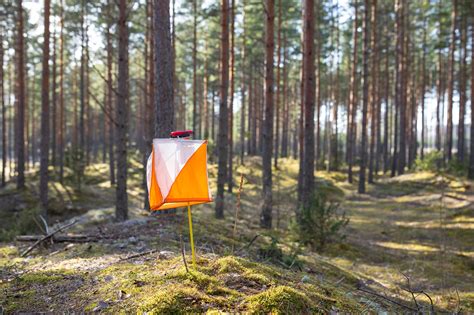 Pilte esimeselt päevakult Lutepää 06 04 2023 Reigo Teervalt