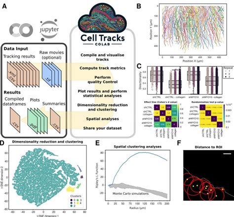 On Linkedin New Tool Simplifies Cell Tracking Data Analysis