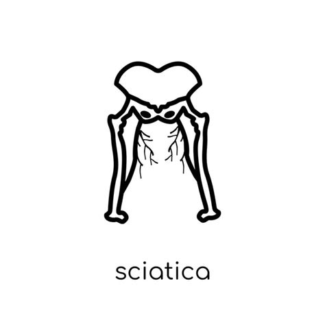 Sciatica Vector Images Royalty Free Sciatica Vectors Depositphotos®