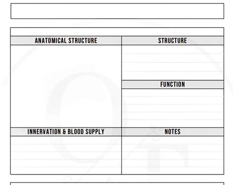 Anatomy Notes Anatomy Prints Clinical Notes Revision Notes Anatomy