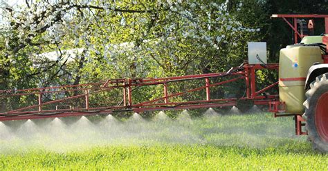 What Is A Biofungicide Tips On Applying Biofungicides To The Garden