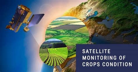 Satellite Image Based Crop Type Identification ITware