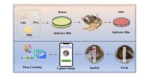 Deep Learning Used With A Colorimetric Sensor Array To Detect Indole For Nondestructive