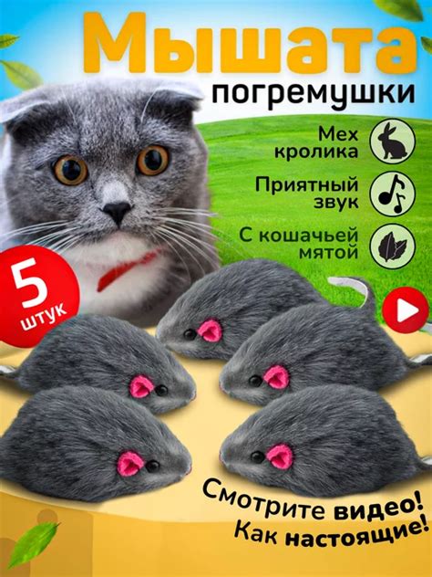 Wildberries — интернет-магазин модной одежды, обуви и аксессуаров