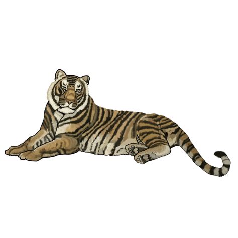 캐릭터 일러스트 심 플 호랑이 장식 소재 호랑이 장식 소재 Png 요소 자유 요소 Png 일러스트 및 Psd 이미지 무료 다운로드 Pngtree