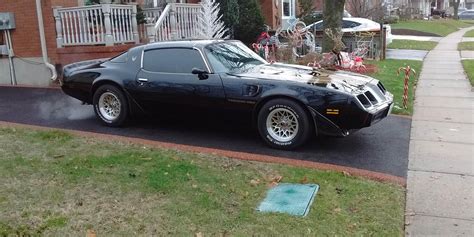 Randys 1981 Pontiac Firebird Holley My Garage