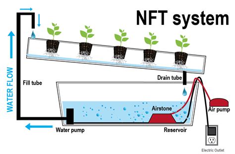 Model Hidroponik Nutrient Film Technique NFT IlmuBudidaya