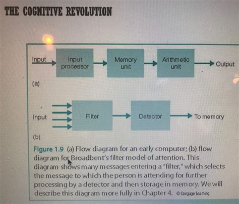 Cognition Exam 1 Diagram Quizlet