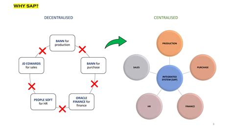Solution Sap Intro Guide Studypool