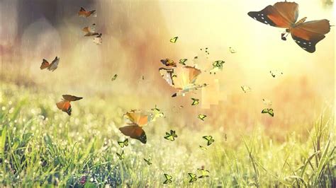 5분 안에 잠을 자게하는 기적의 음악 수면유도음악 잠잘때 듣는 음악 Youtube Music