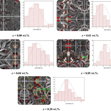 Some Selected Sem Micrographs With Grain Size Distributions For Download Scientific Diagram