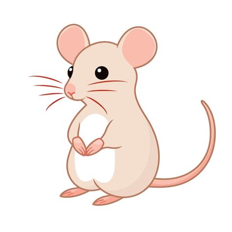 Premium Vector Rat Cute Vector