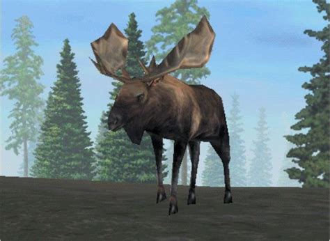 Trophy Hunter Game Free Download Yellowgig