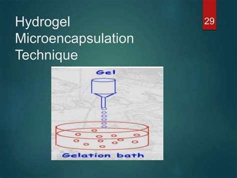 Coacervation Phase Separation Techniques Pptx